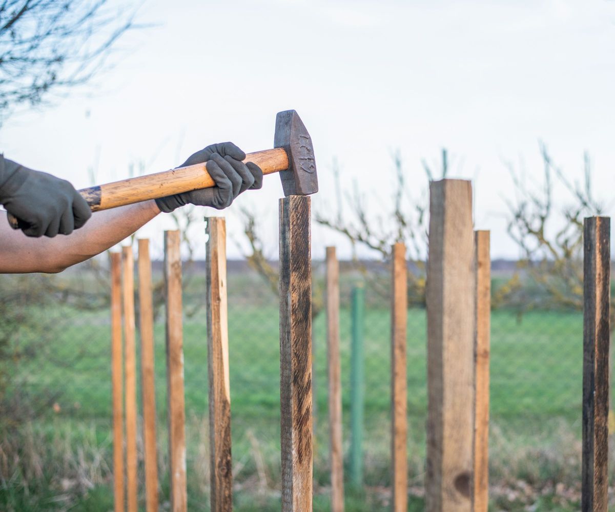 How to build a dead hedge: A step-by-step guide | Homebuilding