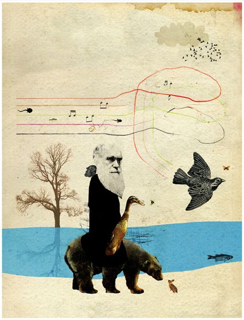 5 steps to becoming an editorial illustrator | Creative Bloq