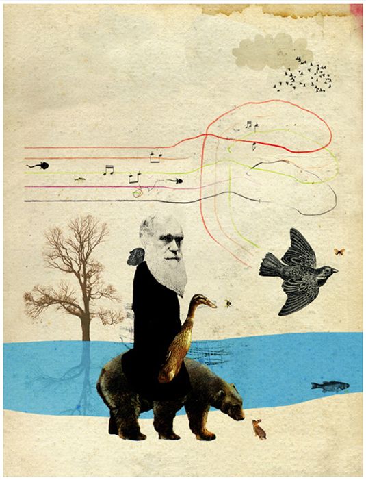 5 steps to becoming an editorial illustrator | Creative Bloq