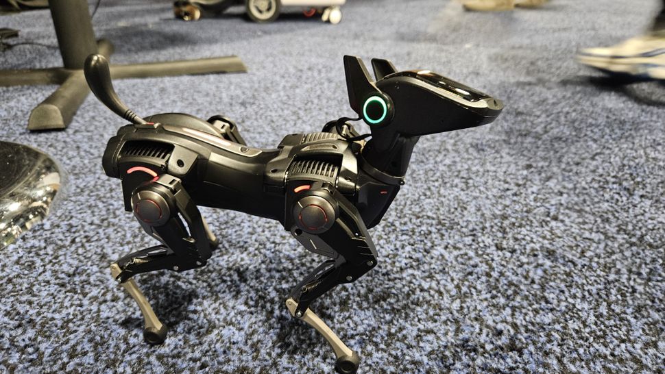 17 weird, wonderful and terrifying robots we saw at CES 2025 — from a ...