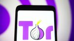 Tor Project releases Tor Browser 14.0 – what you need to know | Tom's Guide
