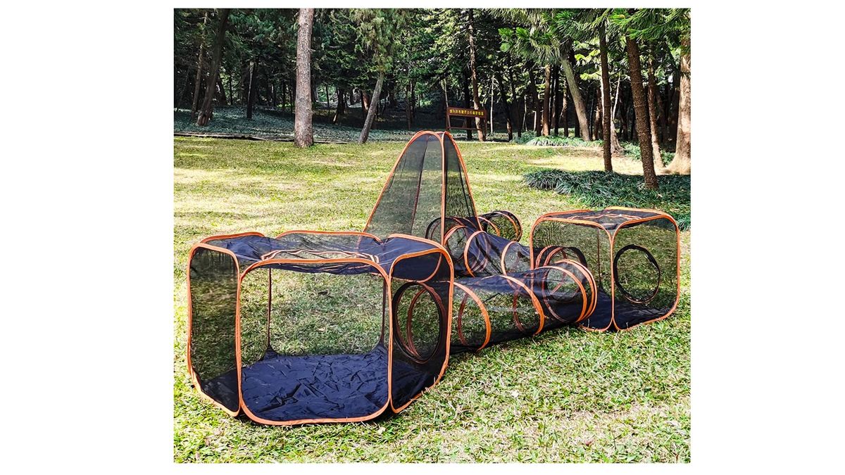 Best outdoor cat enclosures 2024 to let your feline explore nature ...