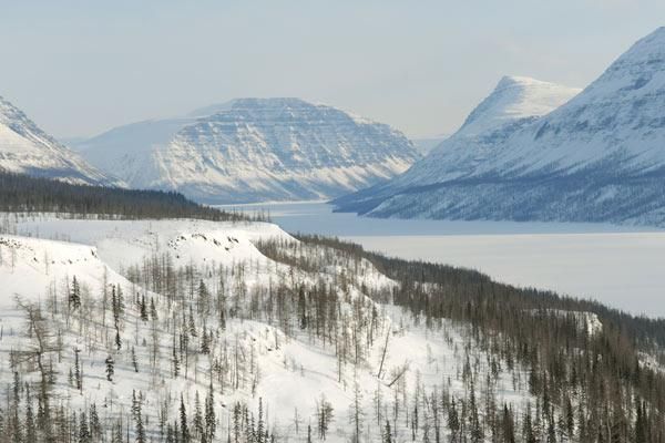 Earth's Harshest Environments | Australian Outback, Greenland | Live ...