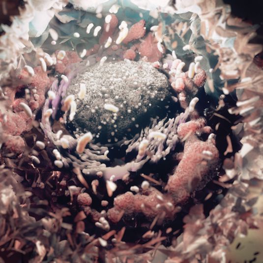 Intricate 3D animation explores inner space | Creative Bloq