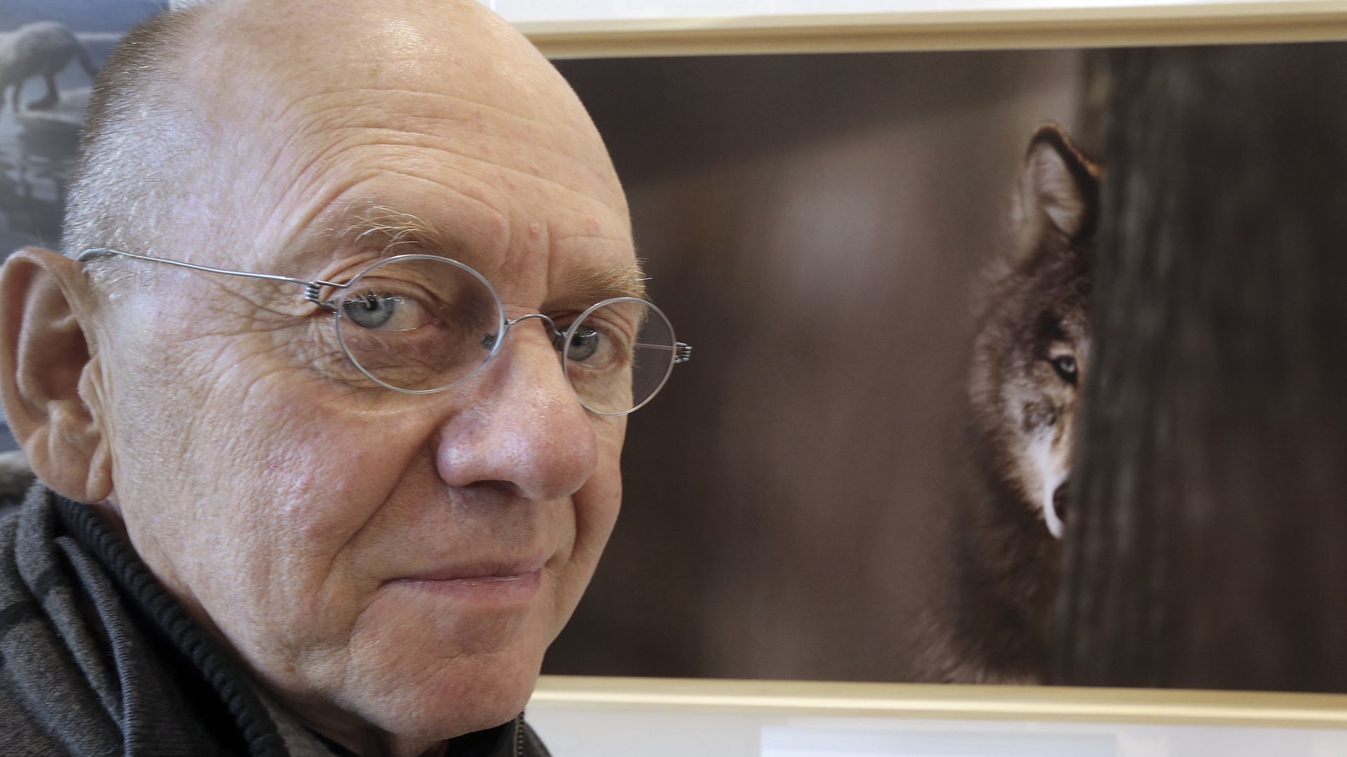 Celebrated wildlife photographer Jim Brandenburg dies aged 79 | Digital ...