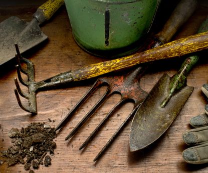 How to clean rusty tools and smarten them up like new | Homes and Gardens
