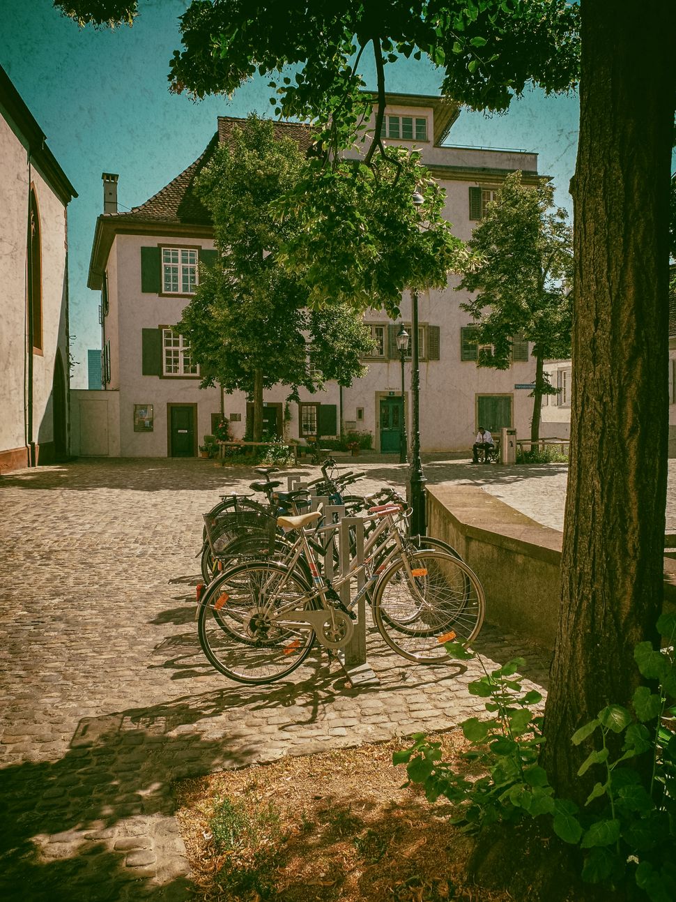 What is cross processing, and how does it work? | Digital Camera World