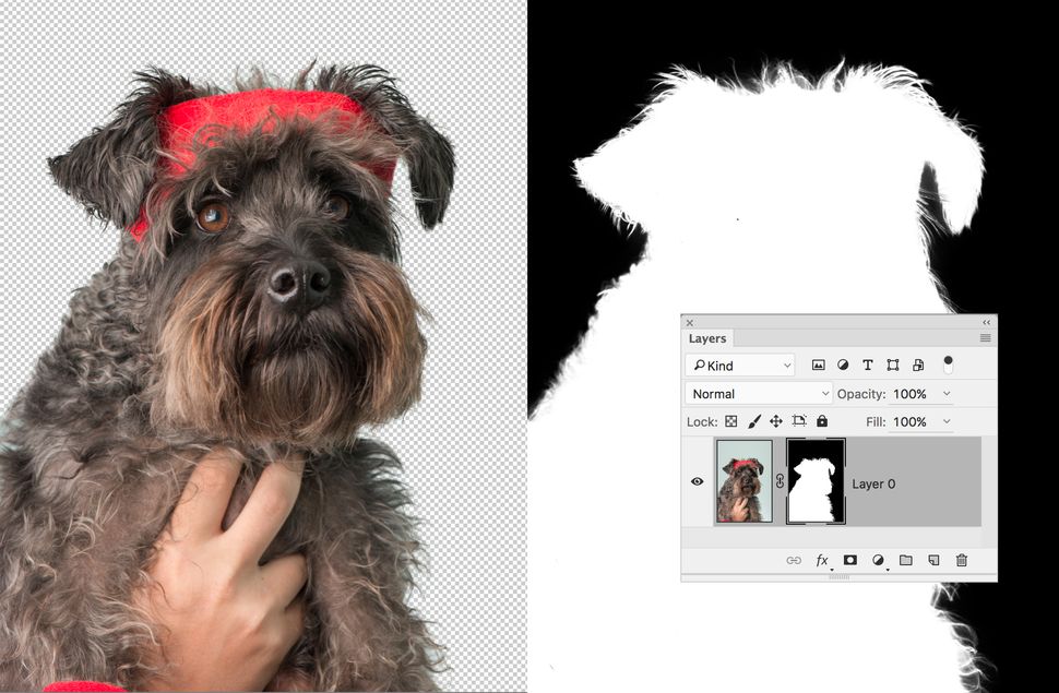 The ultimate guide to compositing images in Photoshop | Creative Bloq