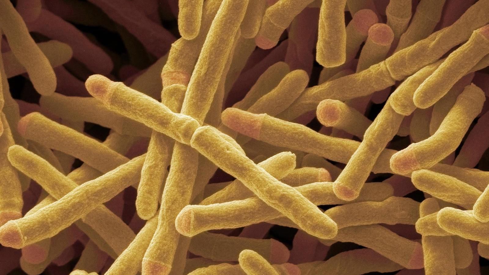 Scientists discover enzyme that can turn air into energy, unlocking ...