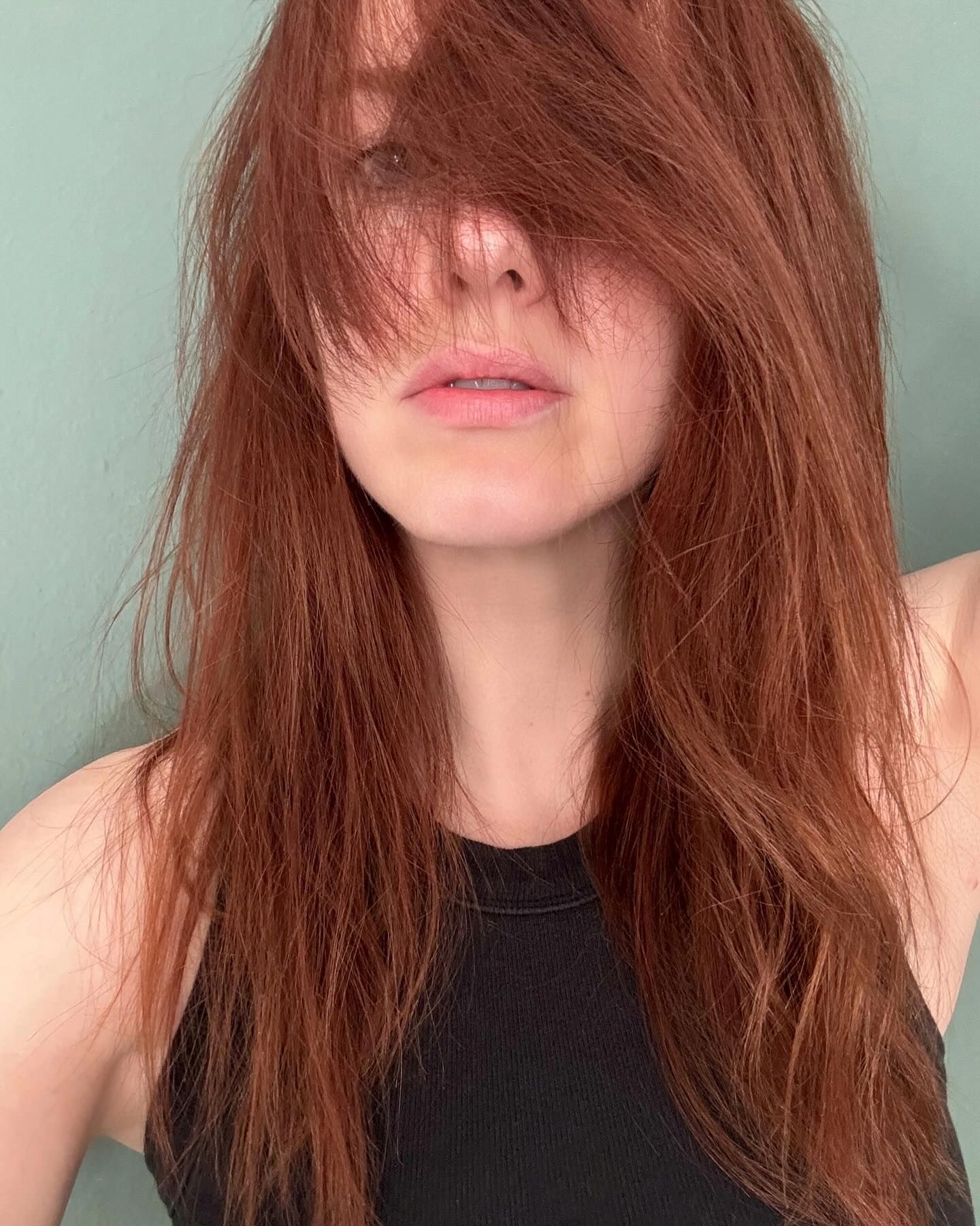 Terracopper (aka Dark Copper) Is the Rich-Looking Hair Colour ...