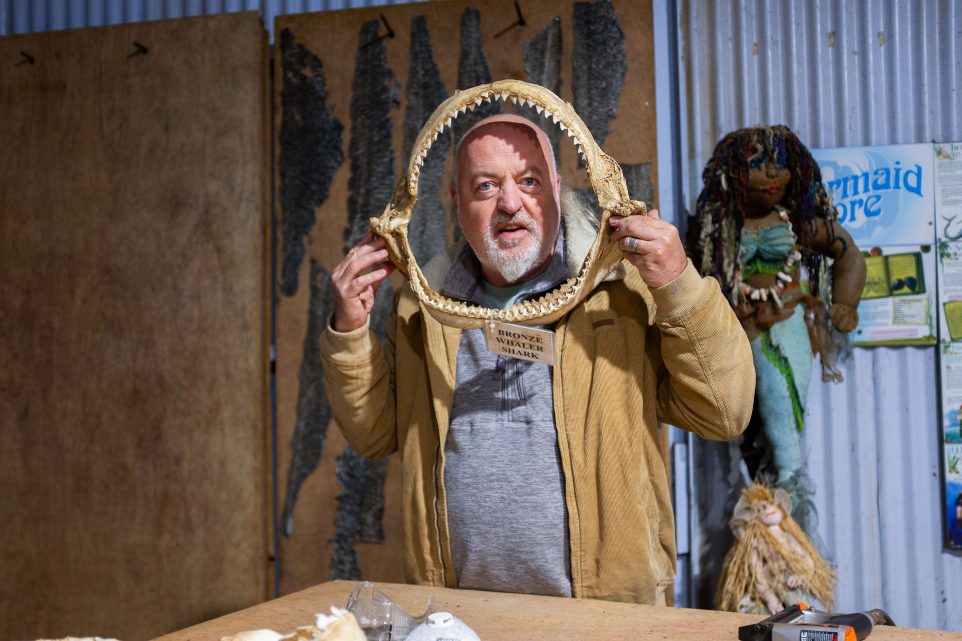 Bill Bailey's Australian Adventure: episode guide, air date | What to Watch