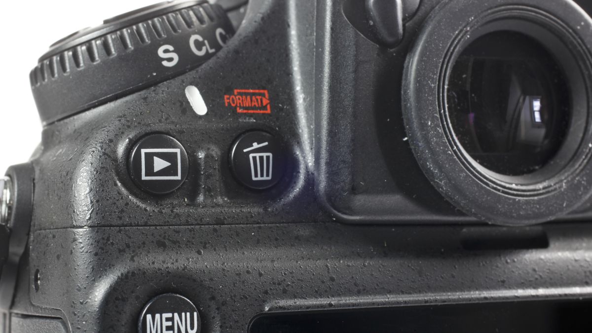 Performance - Nikon D800 review - Page 3 | TechRadar