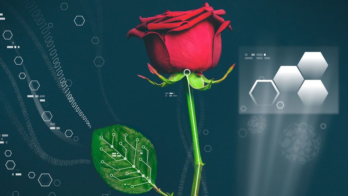 The first cyborg plants have been created in Sweden | TechRadar