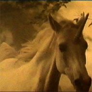 11 Movie Dream Sequences Explained | GamesRadar+