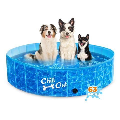 Best swimming pools for dogs 2024 for puppy pool parties | PetsRadar