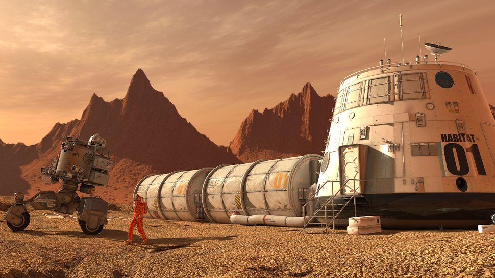 Which animals will be the first to live on the moon and Mars? | Live ...