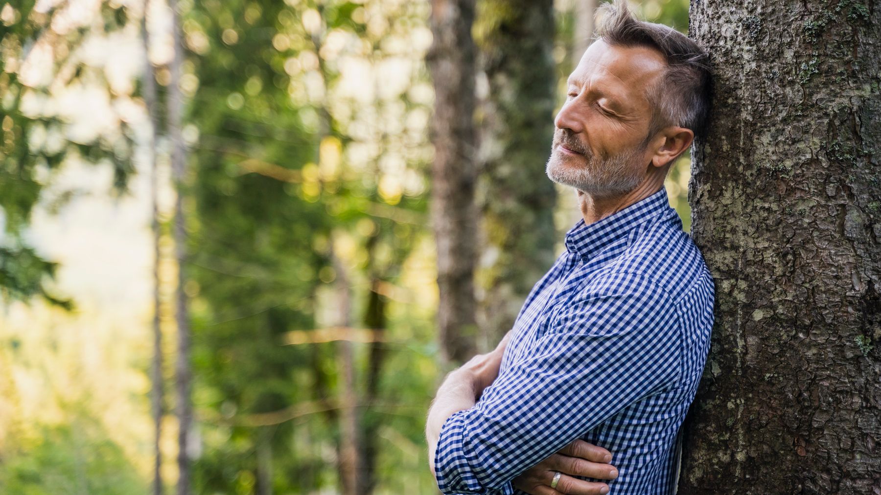 What is forest bathing? | Fit&Well