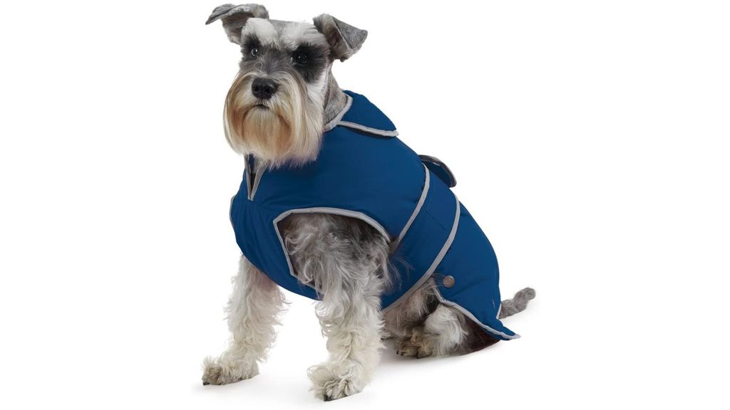 Best dog coats: Trendy picks to keep your dog warm and dry | PetsRadar