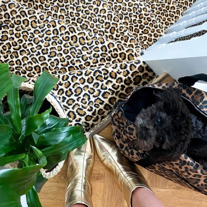 Leopard print flooring is trending: we hate that we love it | Ideal Home