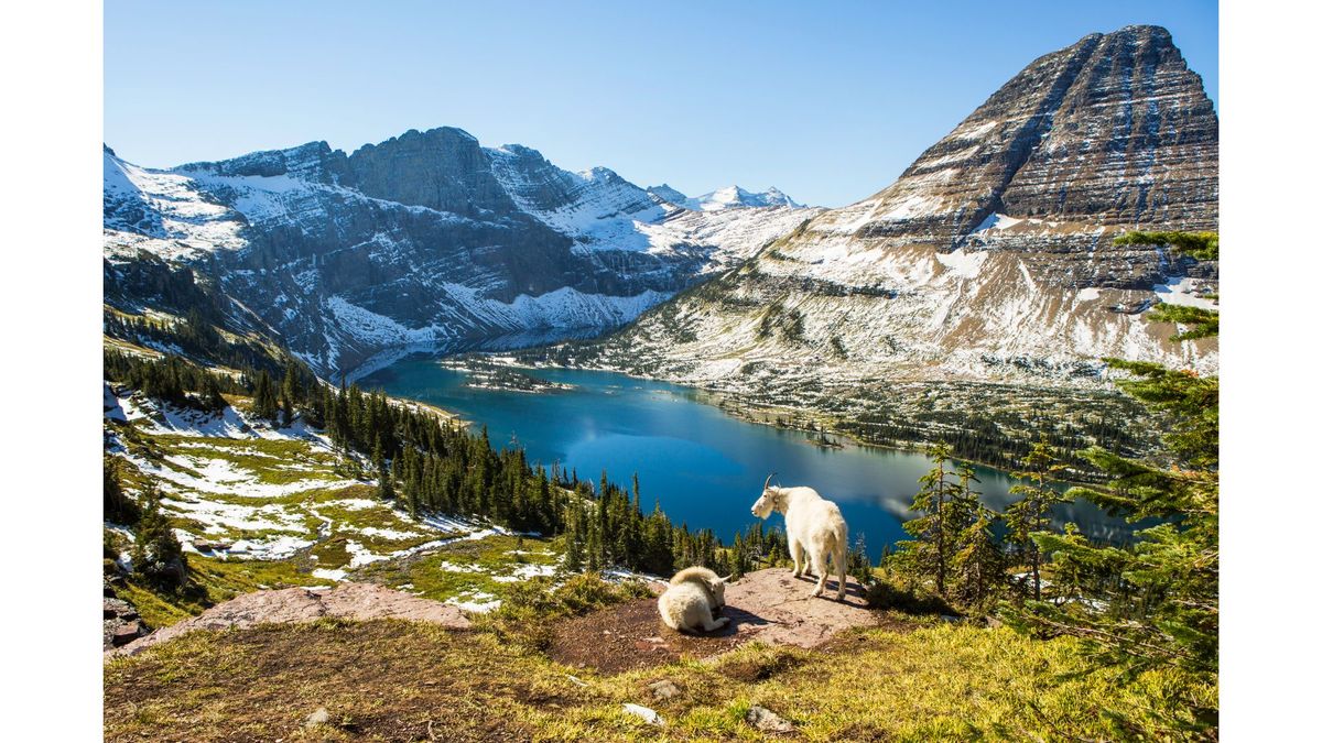 National park facts: interesting, inspiring, and downright unbelievable ...