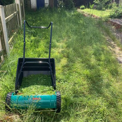 Is it worth getting a manual lawn mower? The pros and cons | Ideal Home