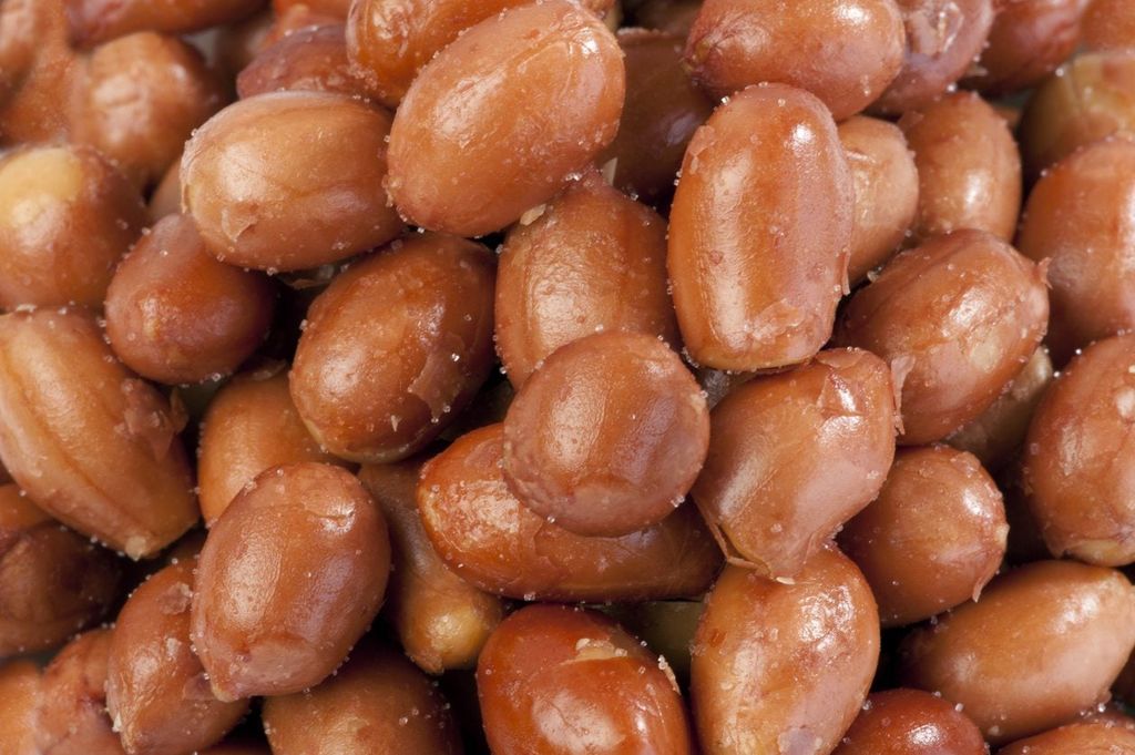 Spanish Peanut Varieties - How To Grow Spanish Peanuts In The Garden ...