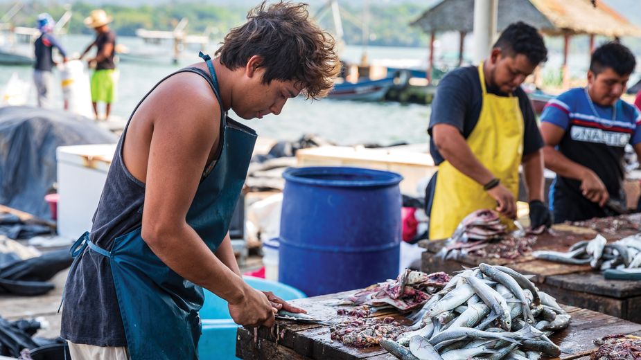 Articles by Peter Fenech | Digital Camera World