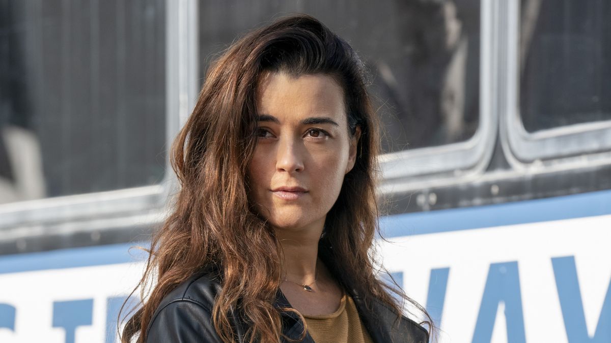 Cote De Pablo Has An Idea For How To Bring A Killed-Off NCIS Villain ...
