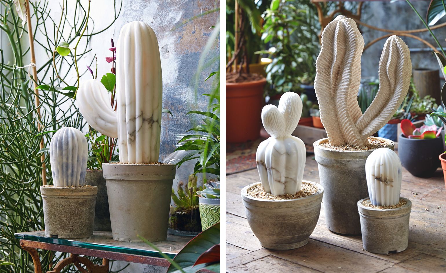 Home grown: Ben Russell brings a sculptural bent to cacti | Wallpaper*