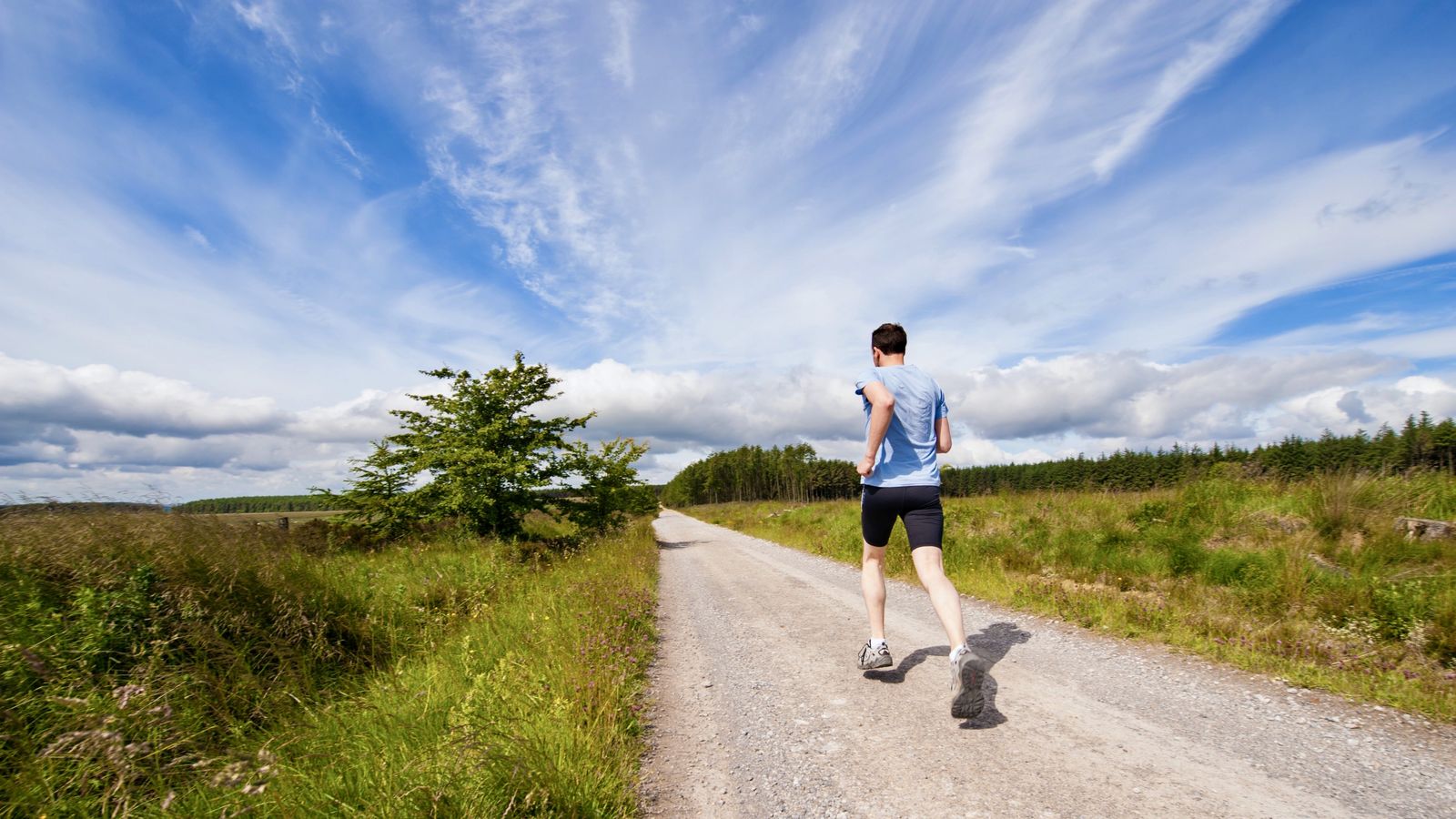 How to get fit: one of the best things you can do for your health and ...