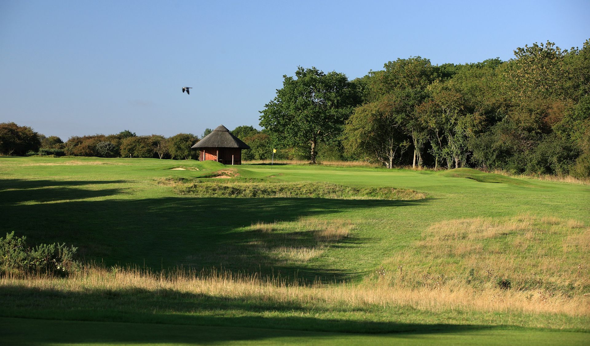Luffenham Heath Golf Club Course Review | Golf Monthly