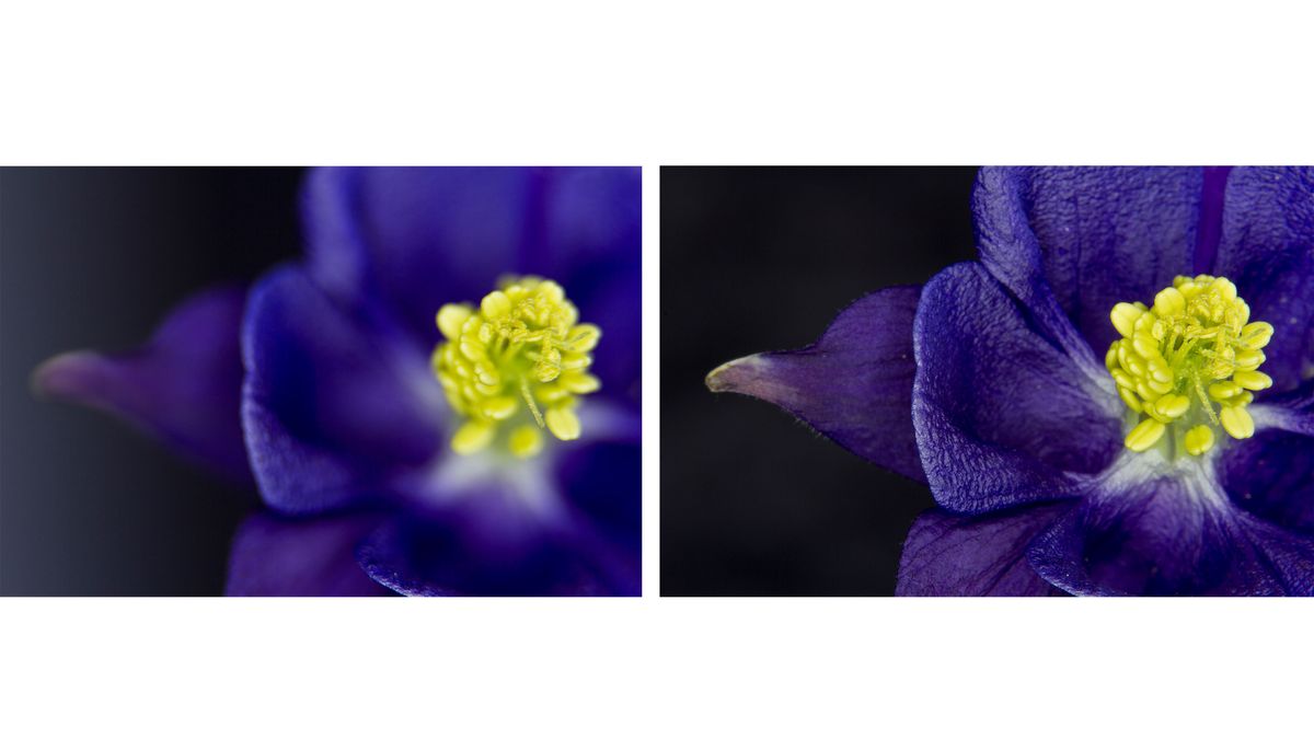 Photography tips for beginners | Digital Camera World