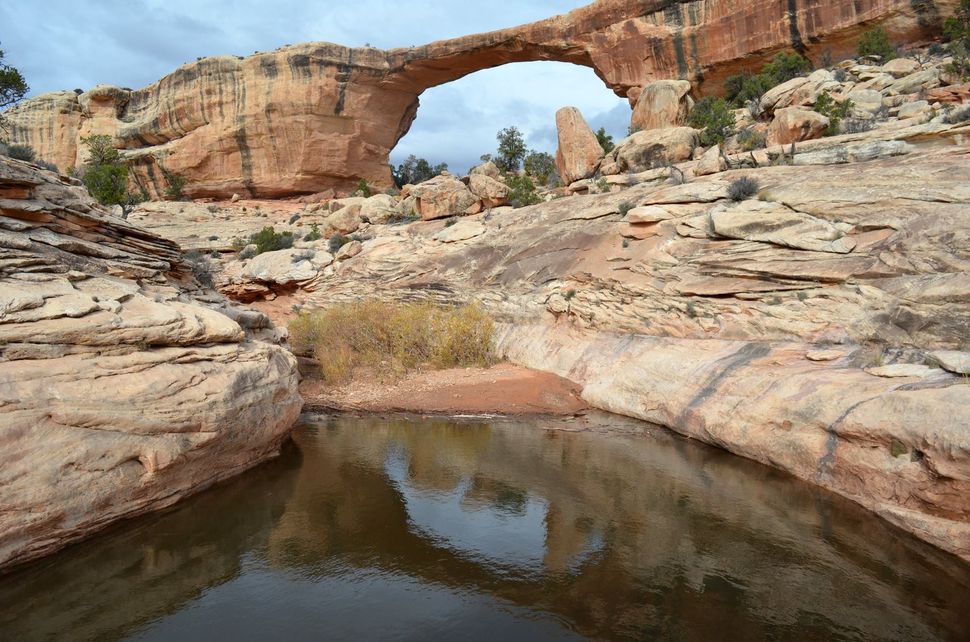 In Photos: How These Stunning Natural Bridges Form and Why They're So ...