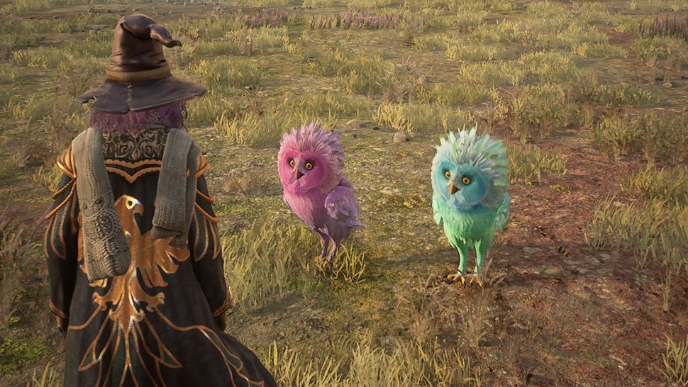 Hogwarts Legacy Fwooper locations: How to capture the magical African ...