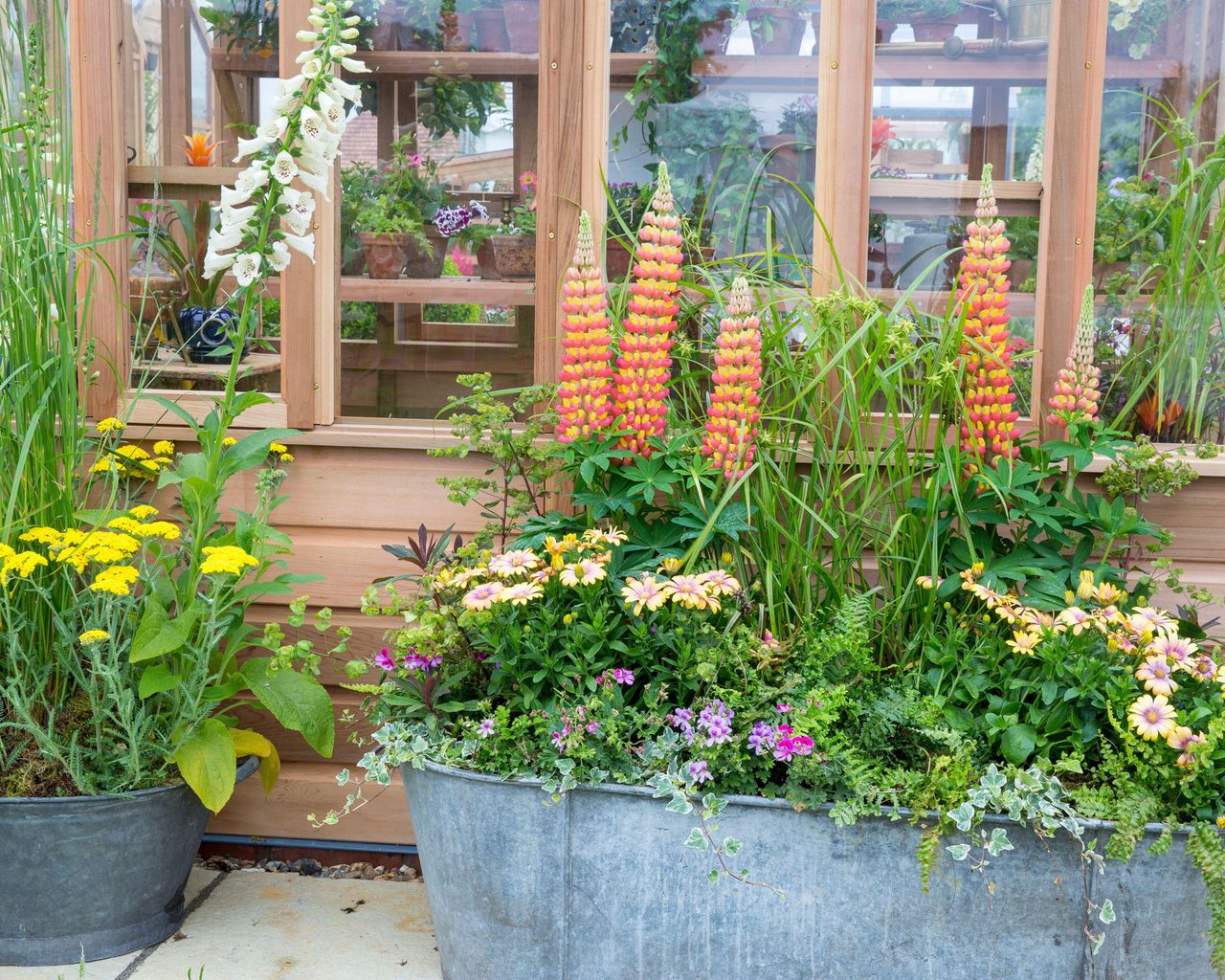 Summer container planting ideas: 11 seasonal looks | Homes and Gardens
