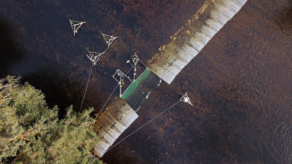 Bear hair and fish weirs: Meet the Indigenous people combining modern ...