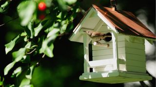 How to make fat balls for birds in 4 easy steps | Homes and Gardens