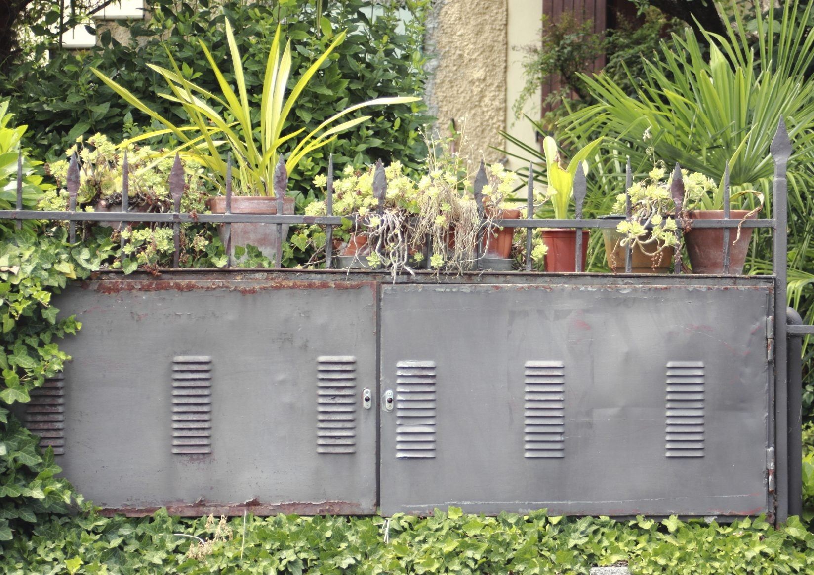 Camouflaging Utility Boxes - Ideas For Landscaping Around Utility Boxes ...