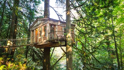 The most luxurious tree houses around the world to stay in | The Week