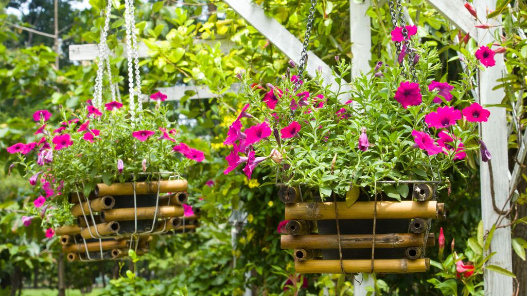 Stylish Hanging Planters | Containers For Hanging Baskets | Gardening ...
