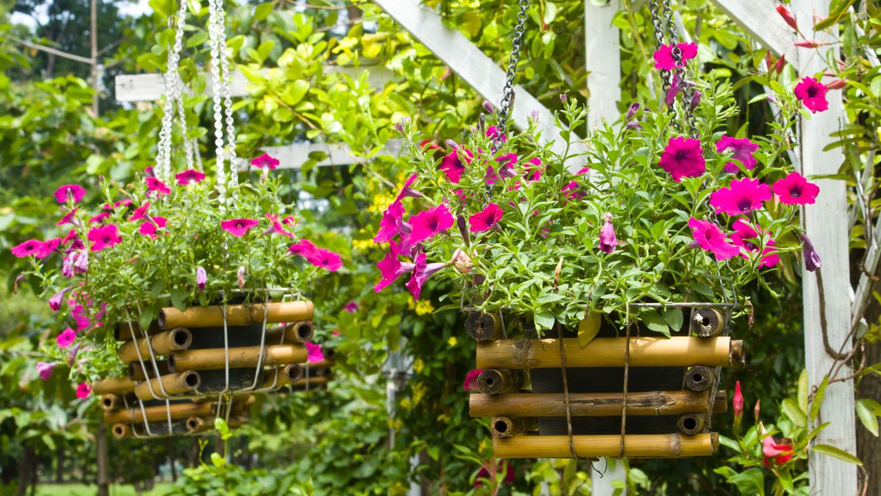 Stylish Hanging Planters | Containers For Hanging Baskets | Gardening ...