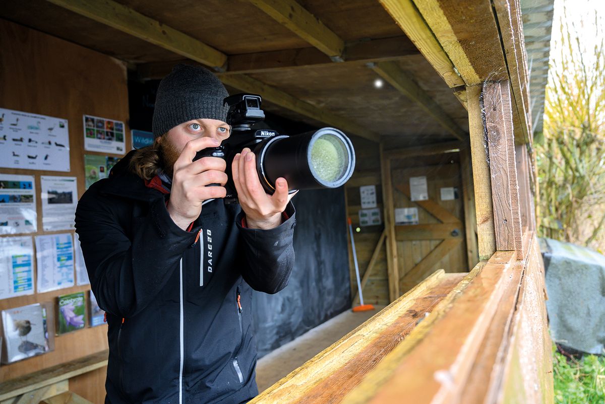 How to use the Nikon DF-M1 dot sight for bird photography | Digital ...