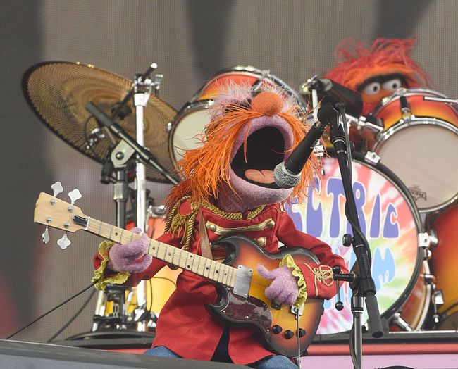 The Muppets Mayhem: release date, plot, trailer, guest stars | What to ...