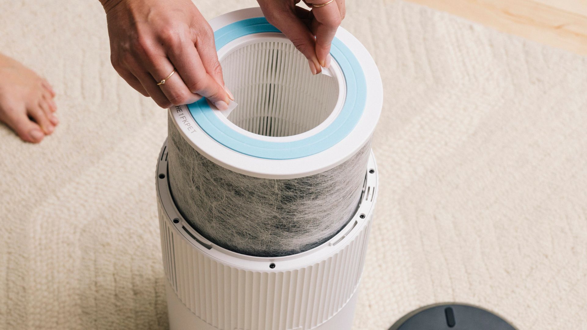 Can you clean and reuse your air purifier filter? I asked the experts ...