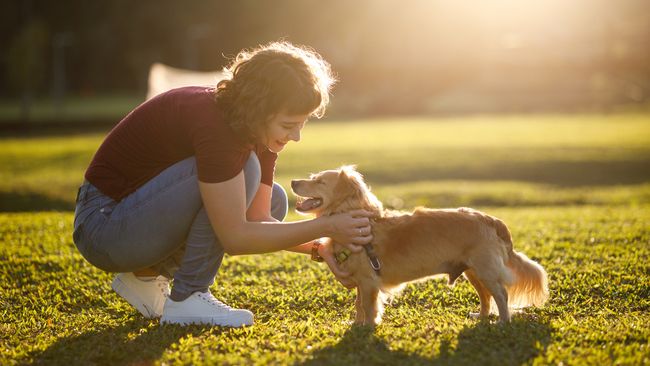 32 ways for improving your relationship with your dog | PetsRadar