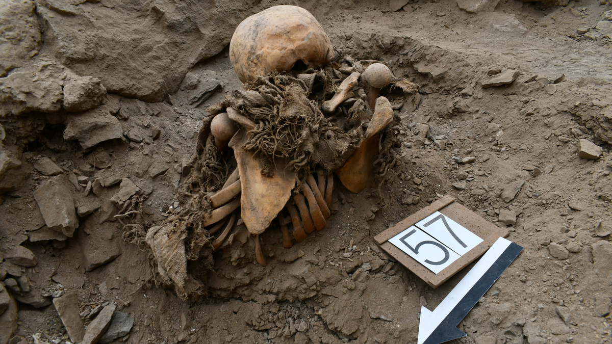 Massive circular tomb filled with battle-scarred people unearthed in ...