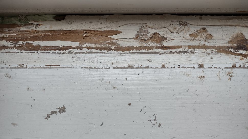 How to renovate a wooden window sill on a DIY basis | Homebuilding