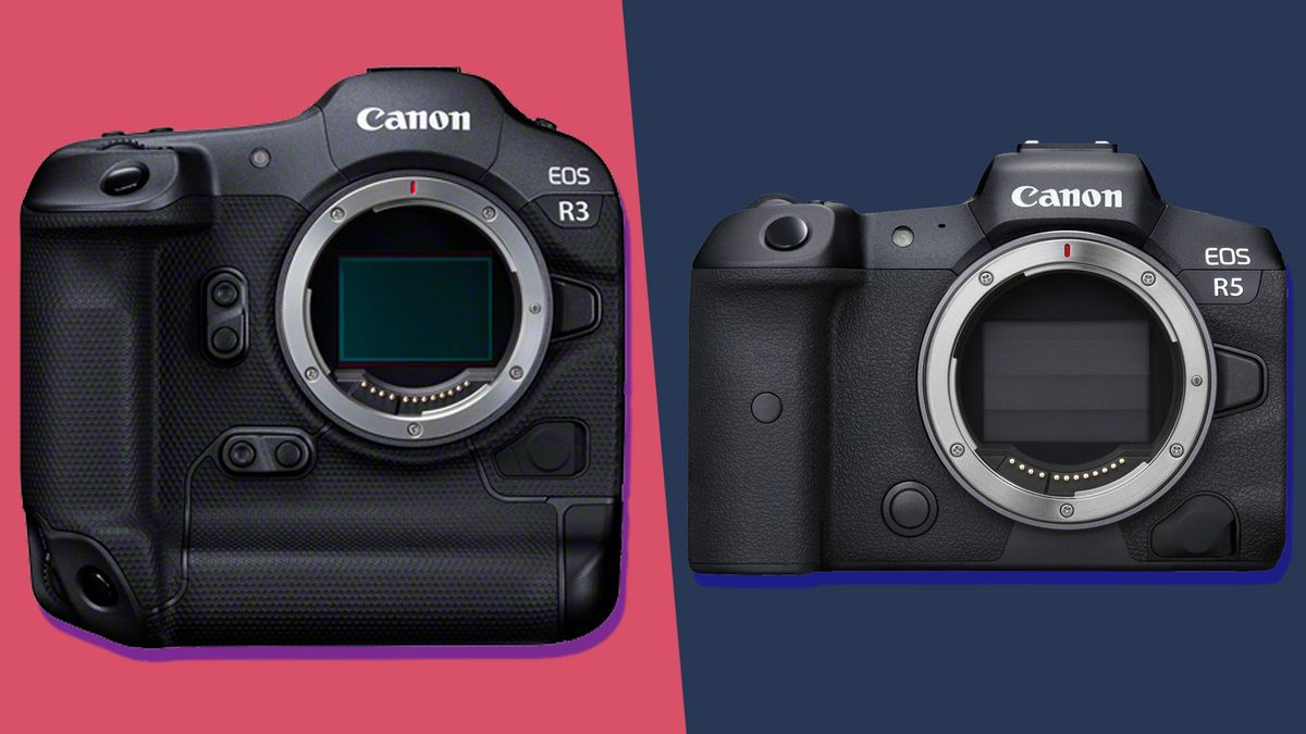 Canon EOS R3 vs Canon EOS R5: 9 key differences between the mirrorless ...