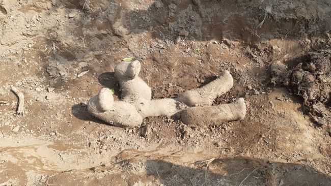 'They are very well aware of their agency': Elephant calf burial ritual ...
