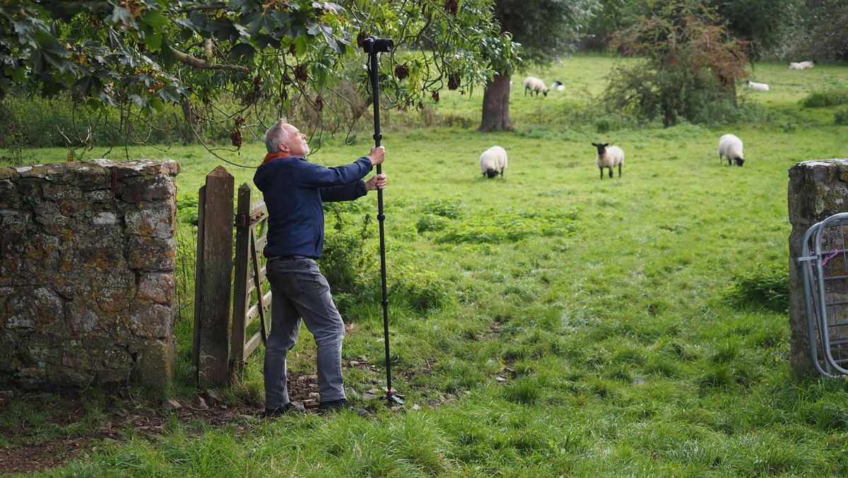 3 Legged Thing Lance - this monopod reaches new heights for ...